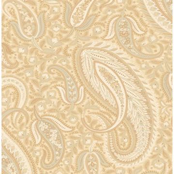 Paisley Wallpaper | Paisley Print Wallpaper | Paisley Wallpaper Design