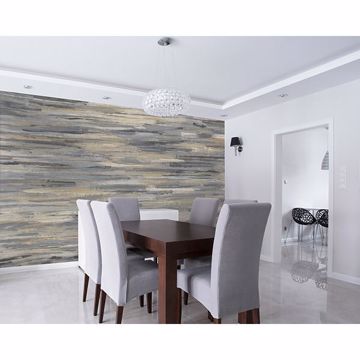 Abstract Wall Murals | Abstract Murals | Murals of Abstracts