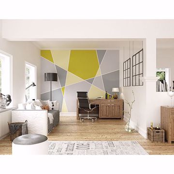 Geometric Wall Murals | Geometrics Mural | Murals of Geometric Shapes