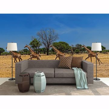 Animal Wall Murals | Murals of Animals | Animals Mural