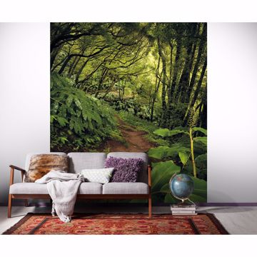Woods Wall Murals | Forest Wall Murals | Murals of the Woods