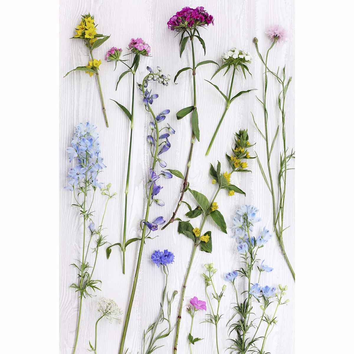 DD148623 - Cady Ivory Wood Panel Wallpaper - by ESTA Home