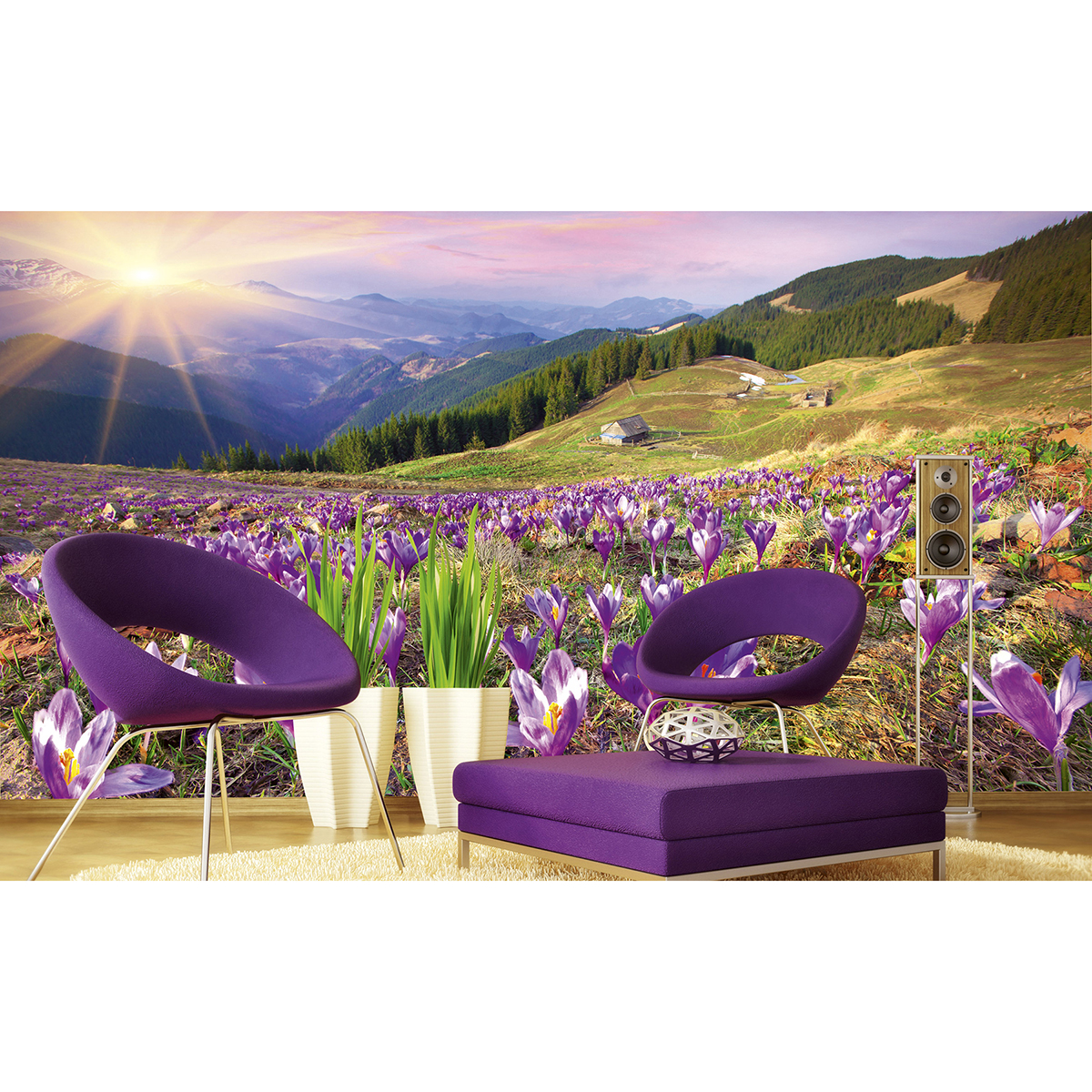 MS-5-0064 - Crocuses at Spring Wall Mural - by Dimex