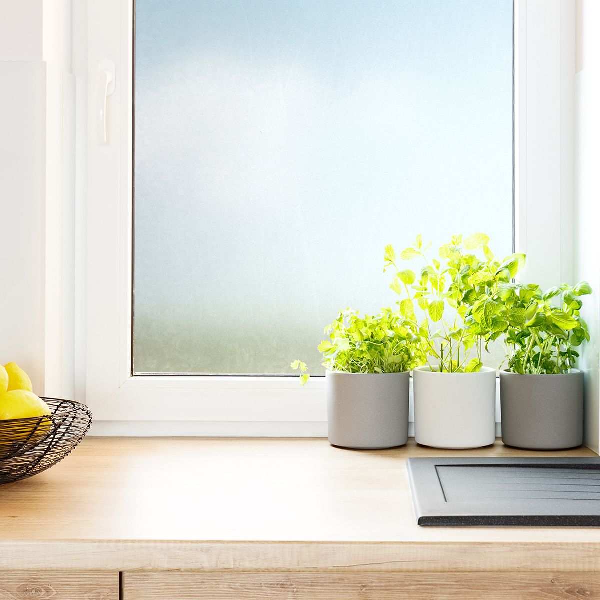 Ice Flowers Window Film - Fablon Sticky Back Plastic