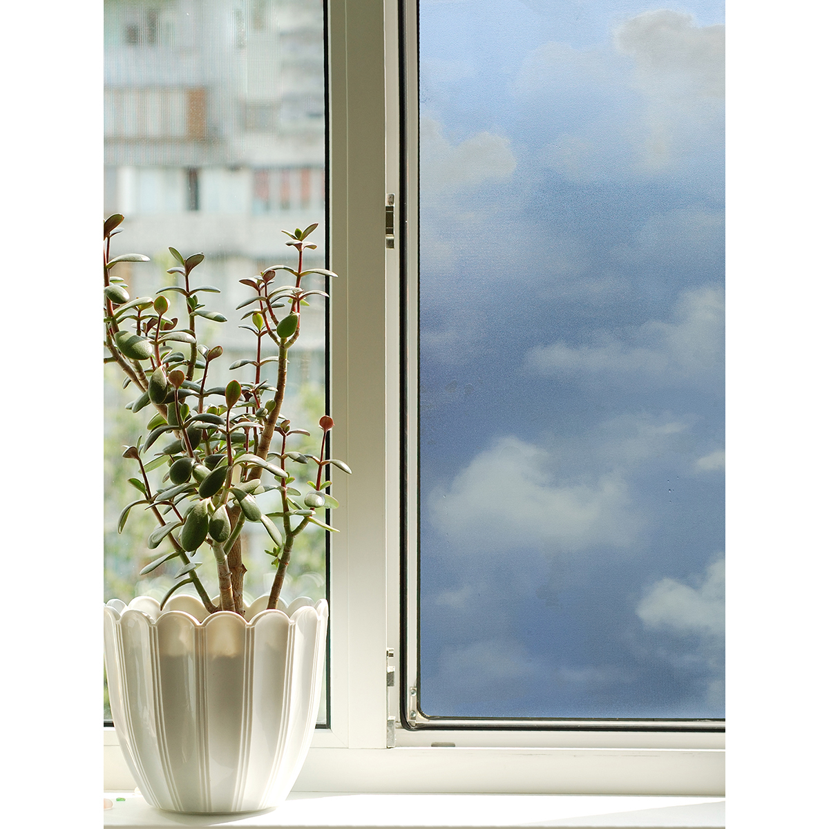 FAB10276 - Clouds Window Film - by Fablon