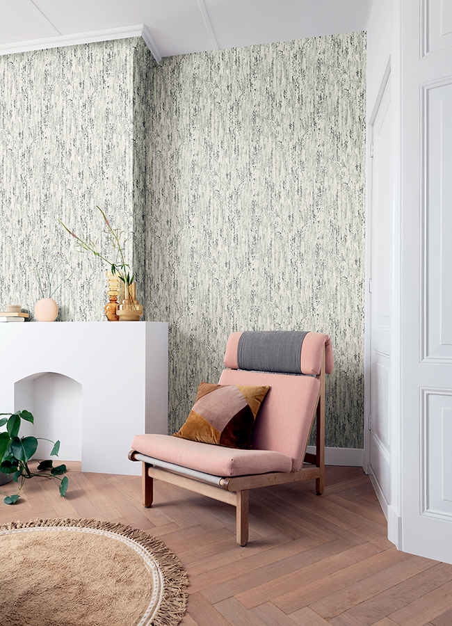 4096-554045 - Colm Charcoal Birch Wallpaper - by Advantage