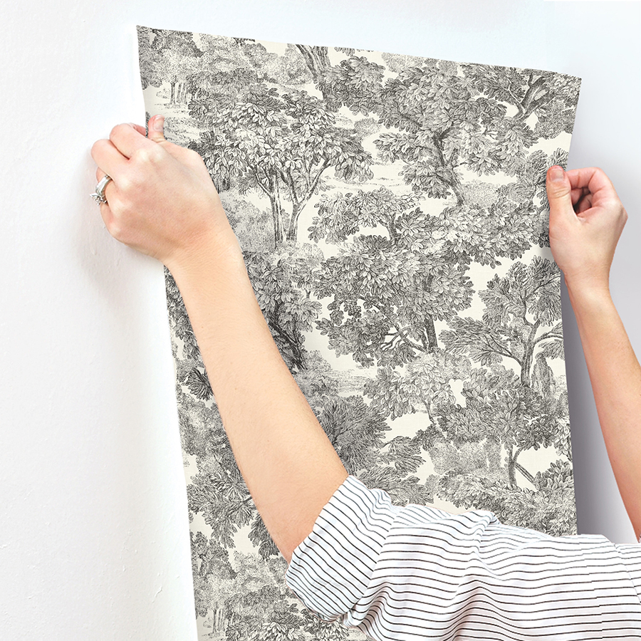 4134-72558 - Spinney Black Toile Wallpaper - by Chesapeake