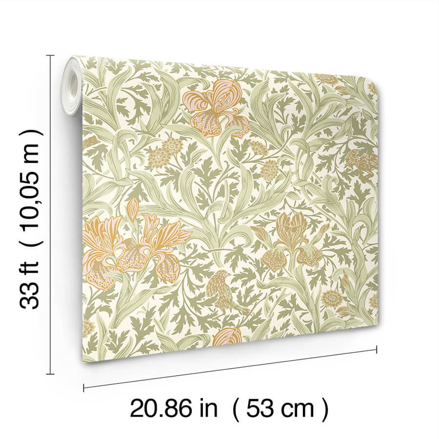4171-82049 - Iris Light Green Wild Gardens Wallpaper - by A-Street Prints
