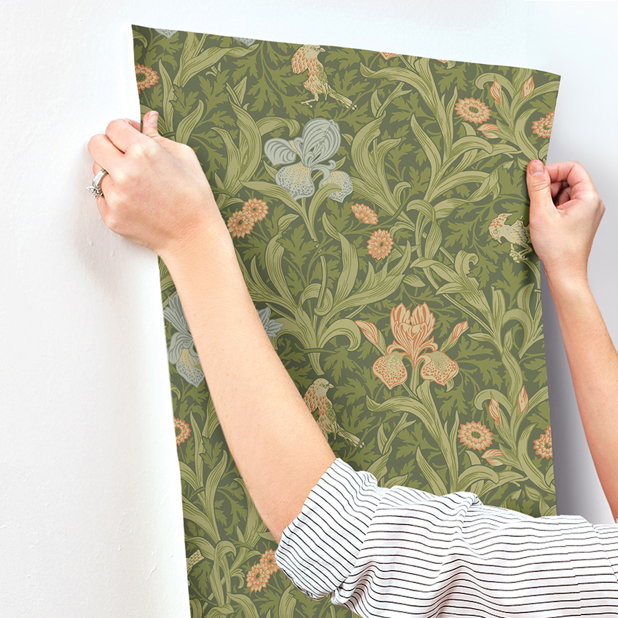 York Wallcoverings. 4171-82050 - Iris Green Wild Gardens Wallpaper - by A-Street Prints