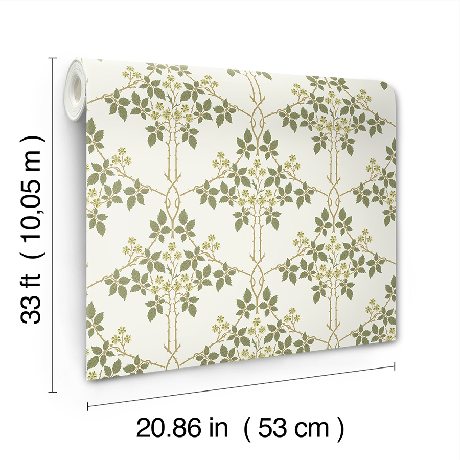 4171-82053 - Blackberry Chartreuse Vine Trellis Wallpaper - by A-Street Prints