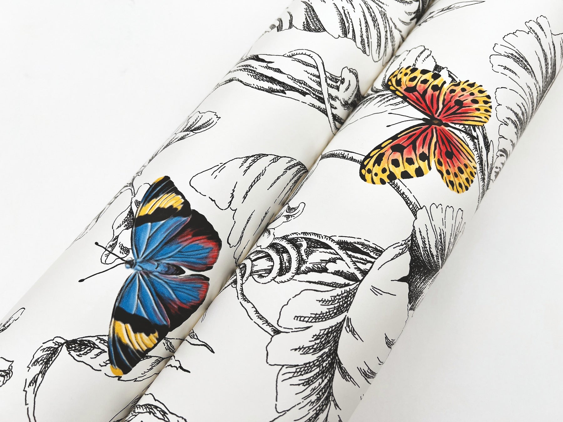 York Wallcoverings. Primary Papillon Wallpaper | Ashford House