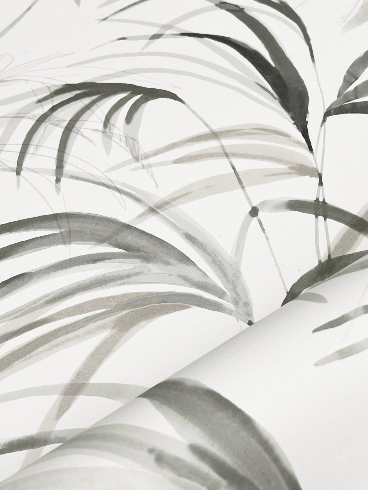 York Wallcoverings. Black Inky Palms Wallpaper | Candice Olson