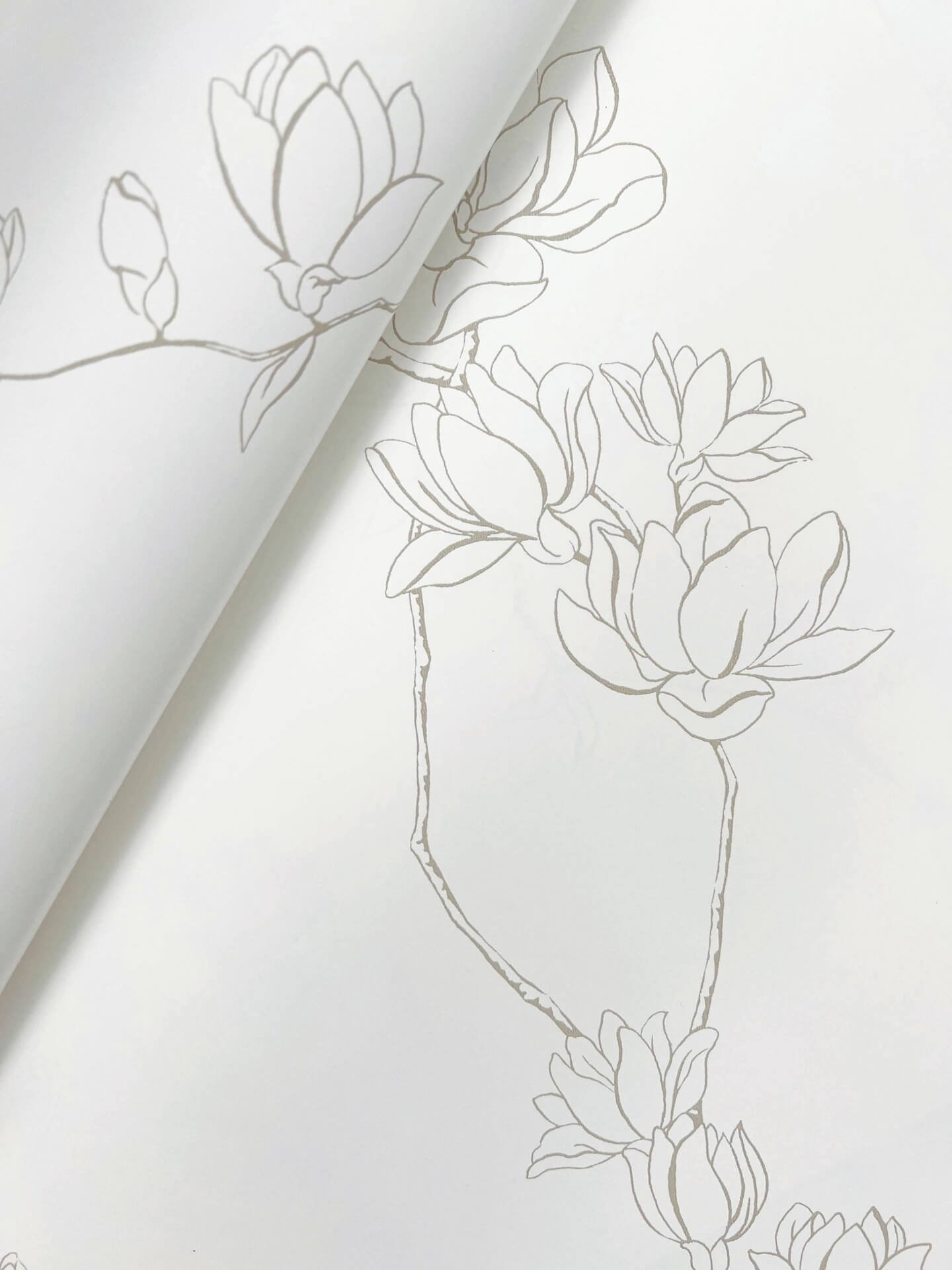 York Wallcoverings. Beige Magnolia Branches Wallpaper | York