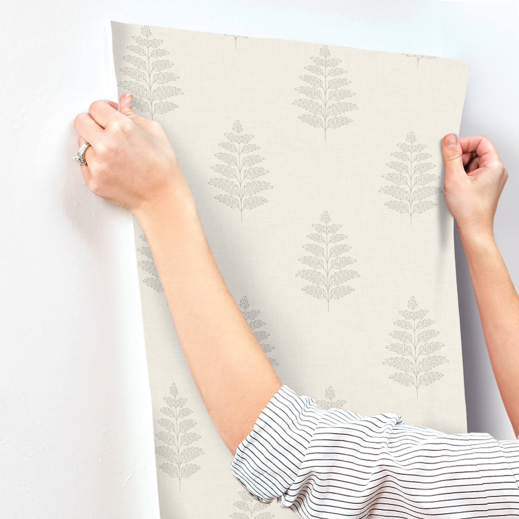York Wallcoverings. 4169-83125 - Frond Cream Leaf Wallpaper - by Chesapeake