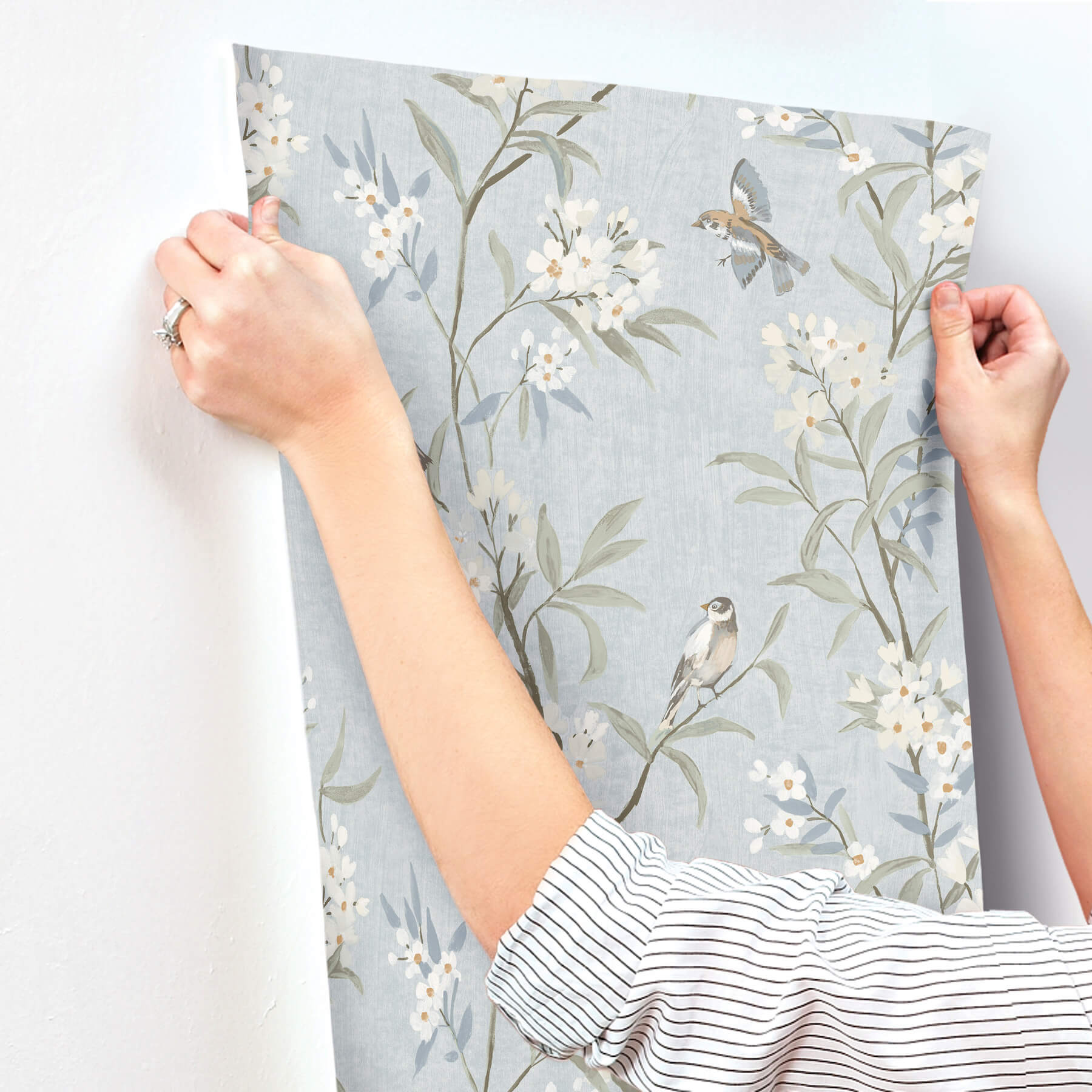 York Wallcoverings. 4169-83140 - Tea Olive Light Blue Finch Frolic ...