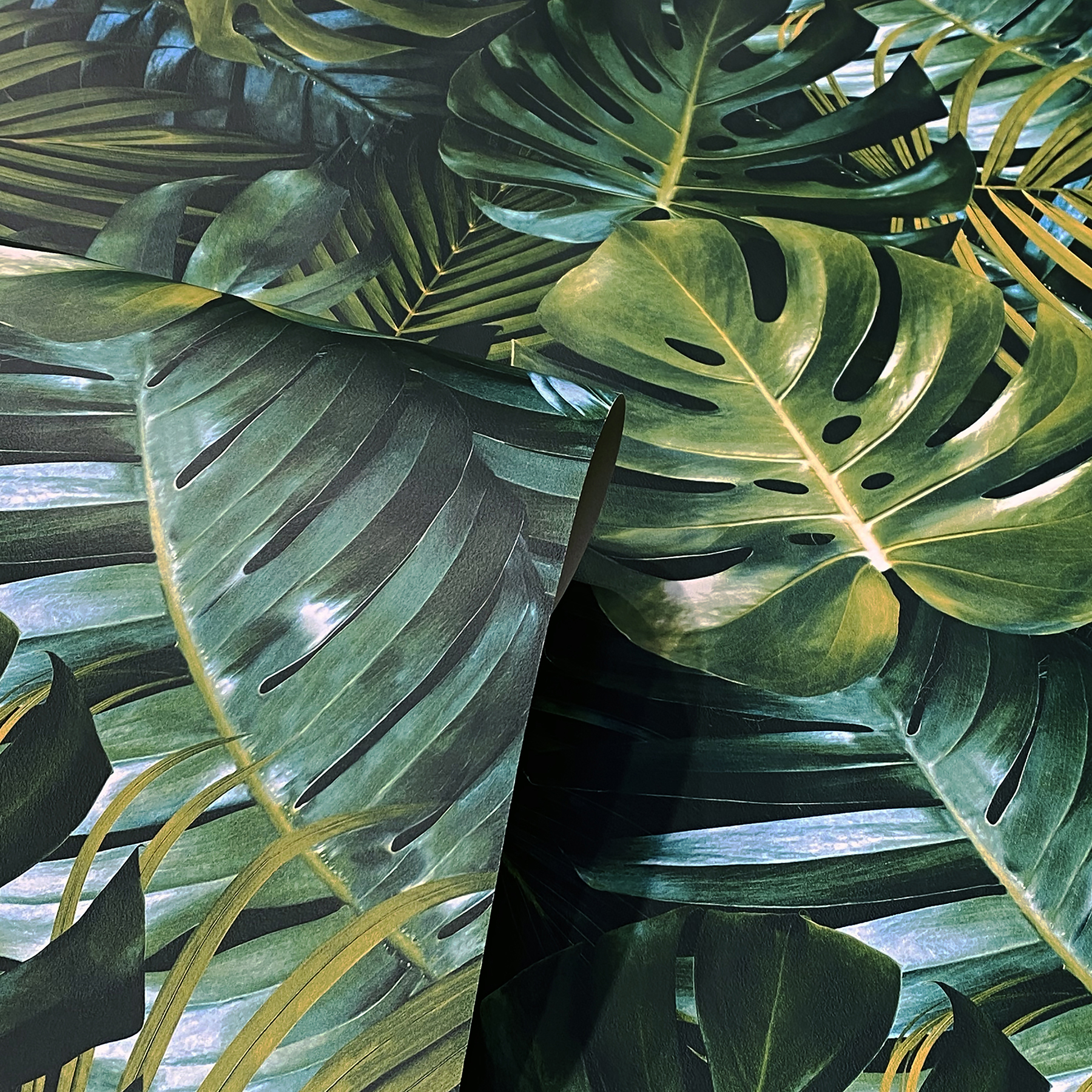 AH924108 - Harlynn Green Monstera Wallpaper - by Arthouse