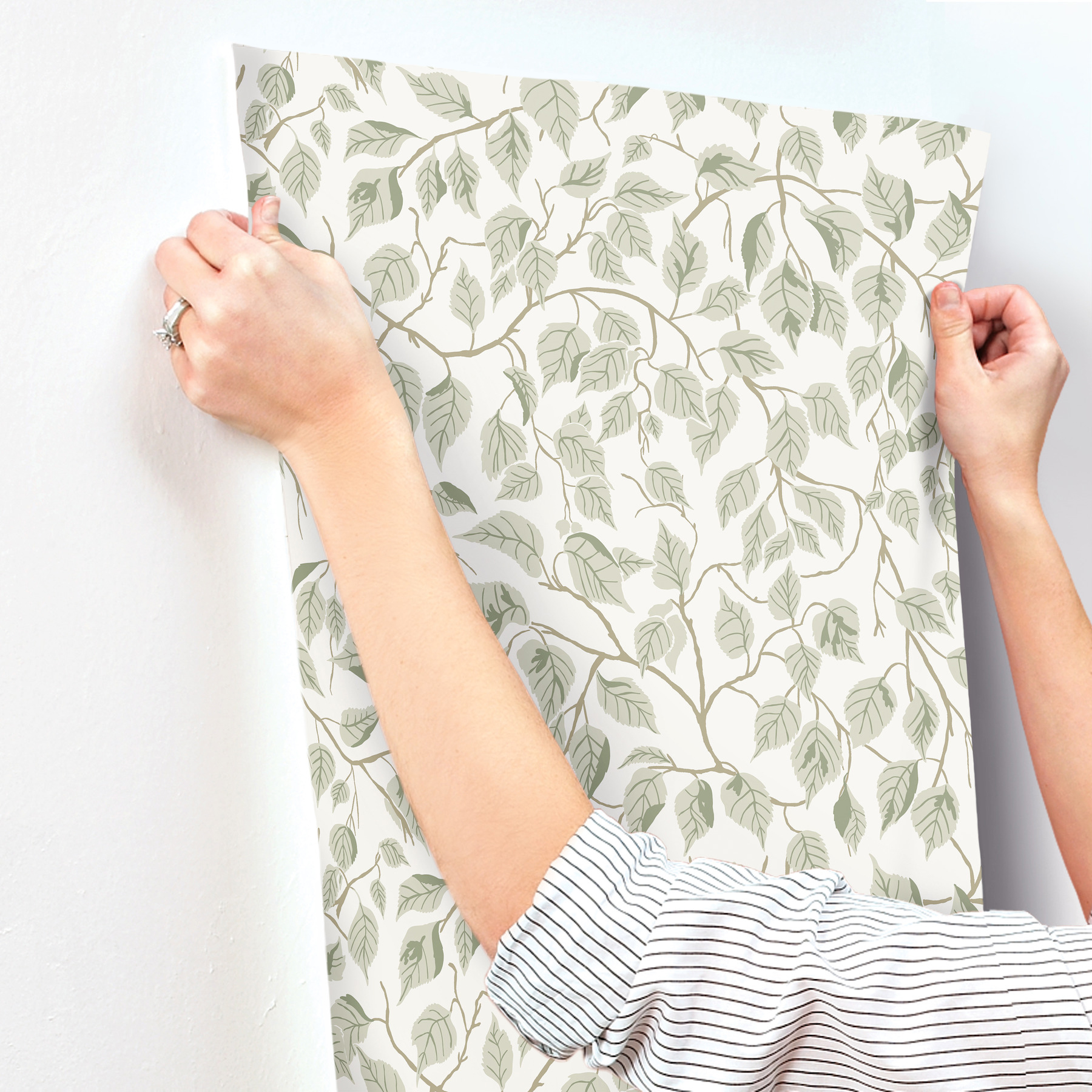 4201-20107 - Hängbjörk Sage Vine Wallpaper - by A-Street Prints